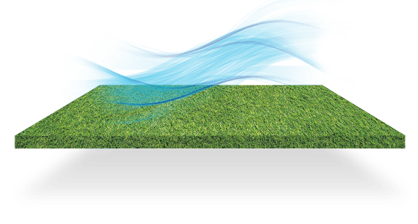 Components | Signature Turf